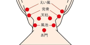 スパのリバイバル | HAIR&SPAアトリエカラーズ